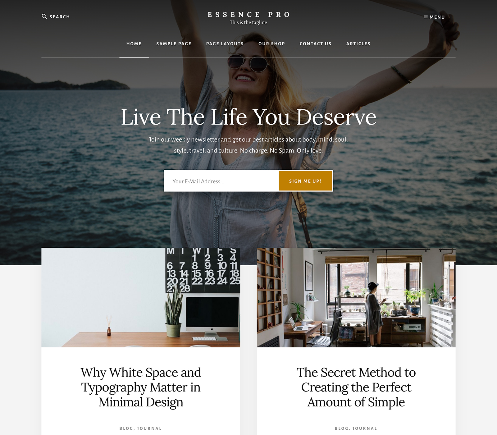 Gutenberg Optimized WordPress Themes from StudioPress